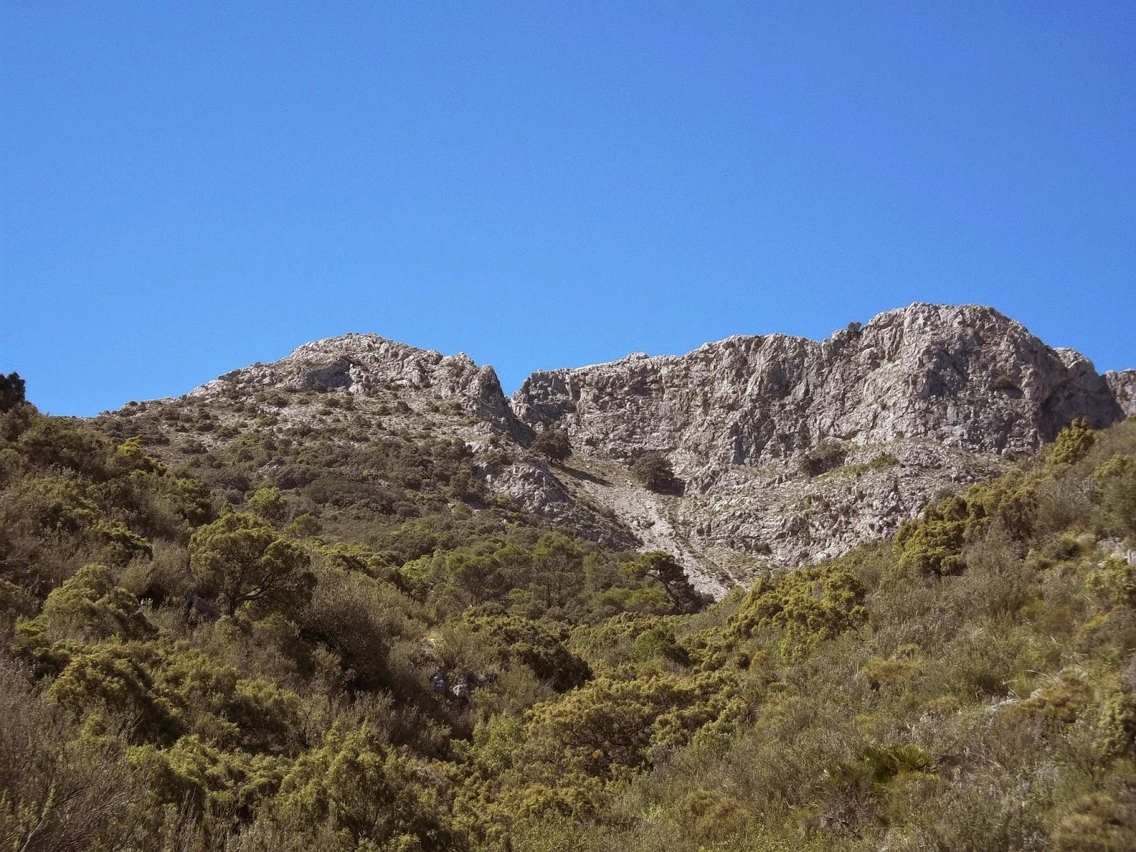 CUMBRES: 2102 - PICACHO DE LOS CASTILLEJOS