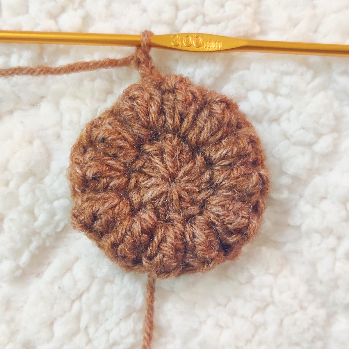Raji's Craft Hobby: How to make a Round Textured Crochet Flower Tablemat