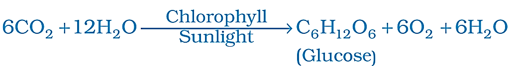 Chapter 6: Life Processes | CBSE Class 10 | NCERT Notes - NotesPedia