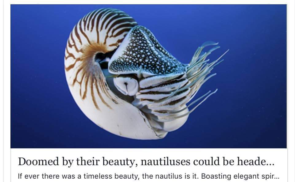 Poems for Inspiration: THE CHAMBERED NAUTILUS