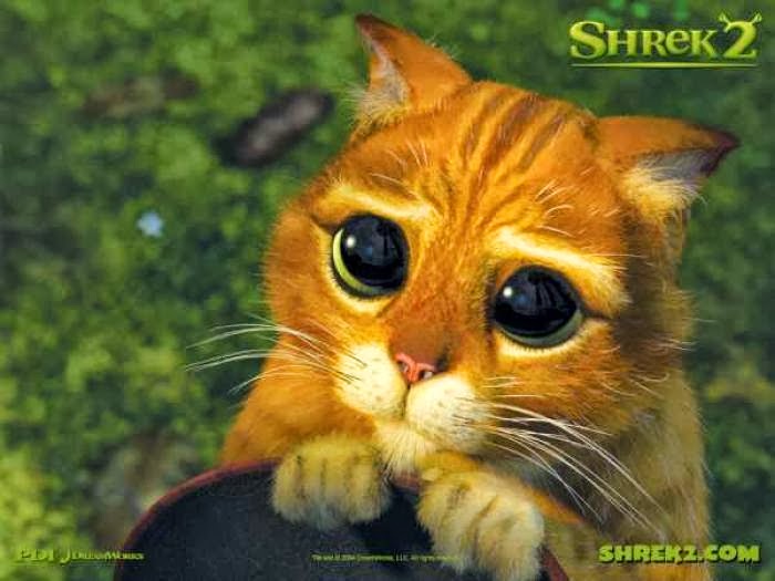 Lauren Noakes - Foundation Portfolio : Camera angles