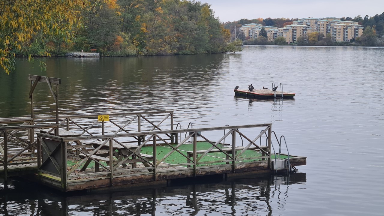 Anders Hallbäck: Här är årets badplatser 2021