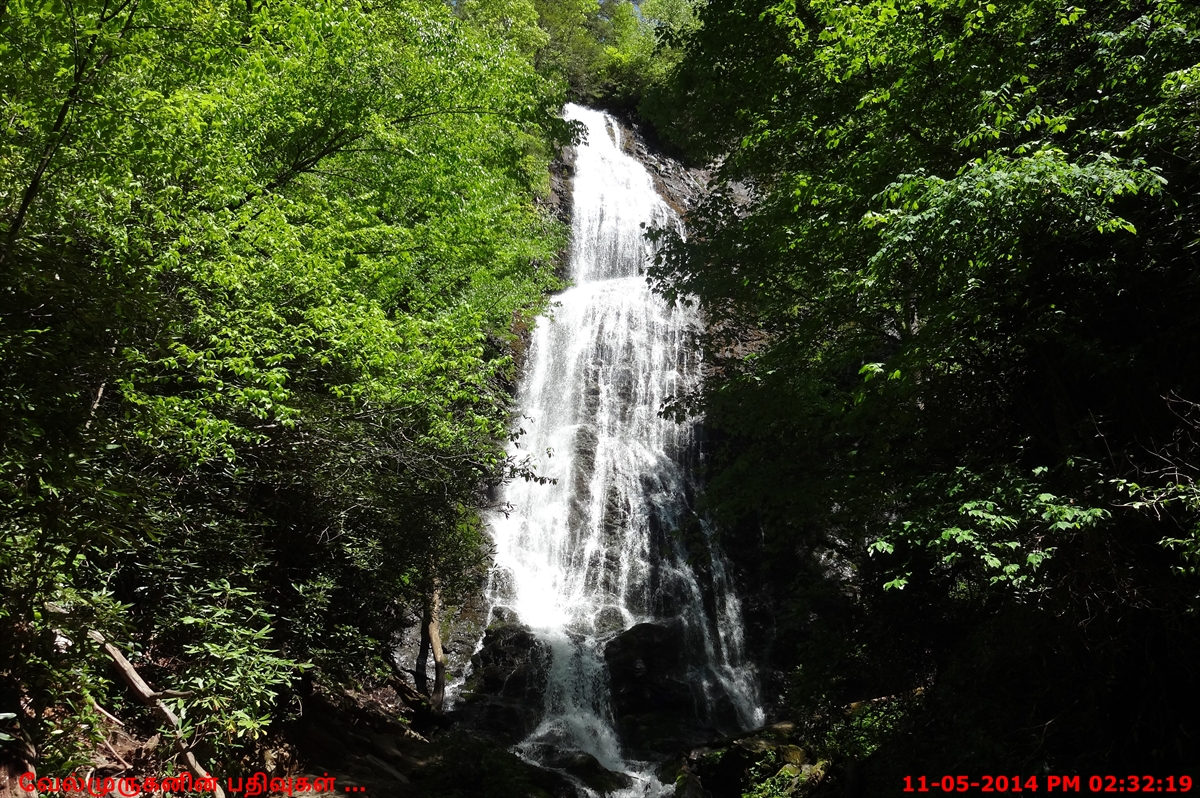 Mingo Falls - Exploring My Life