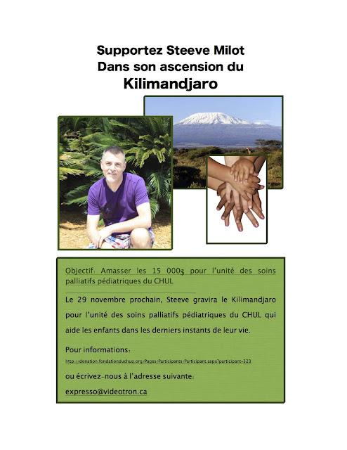Au Sommet avec Steeve: Formulaires de commandites pour le Kilimandjaro