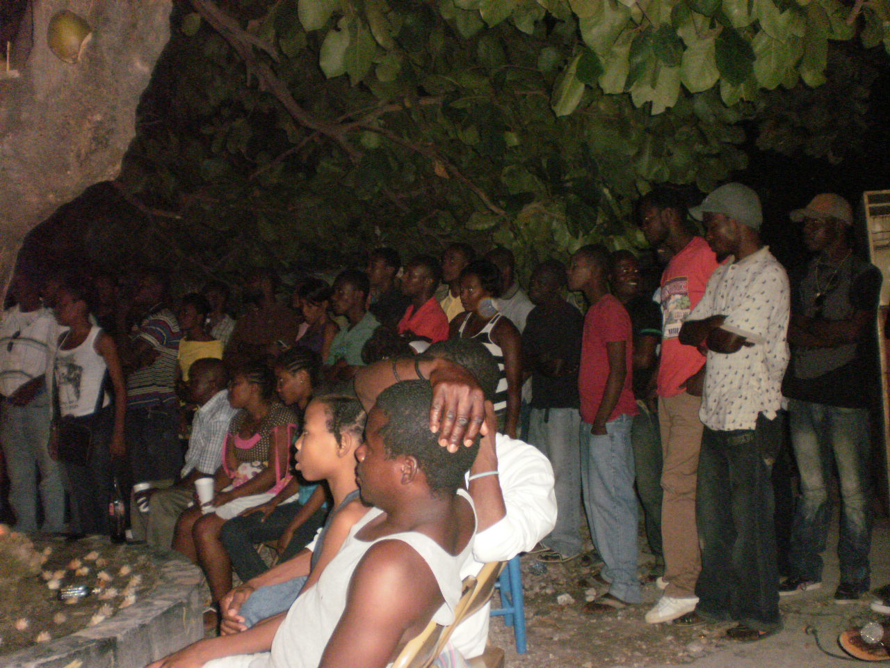 Bibliothèque Justin Lherisson: 2011