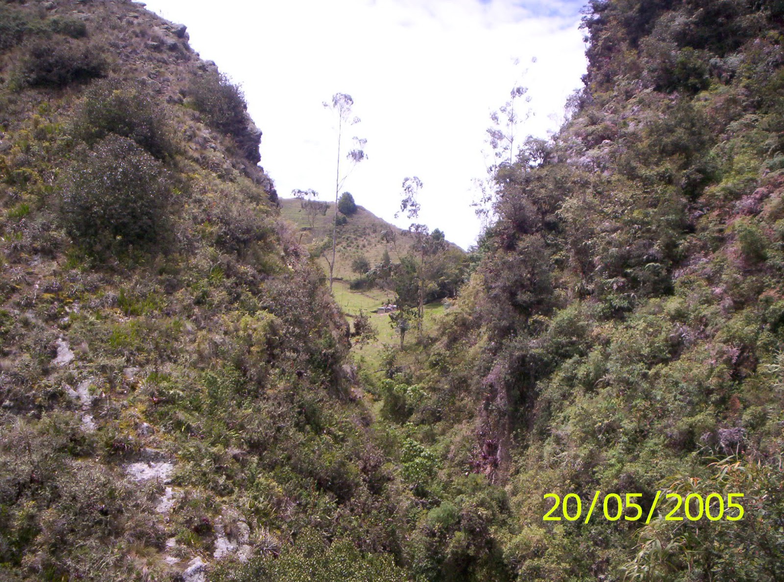 CAMINOS GUANENTA "TU HISTORIA EN EL MUNDO"