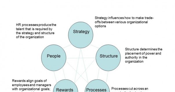 Management&Business: Star Framework for Organizational Design