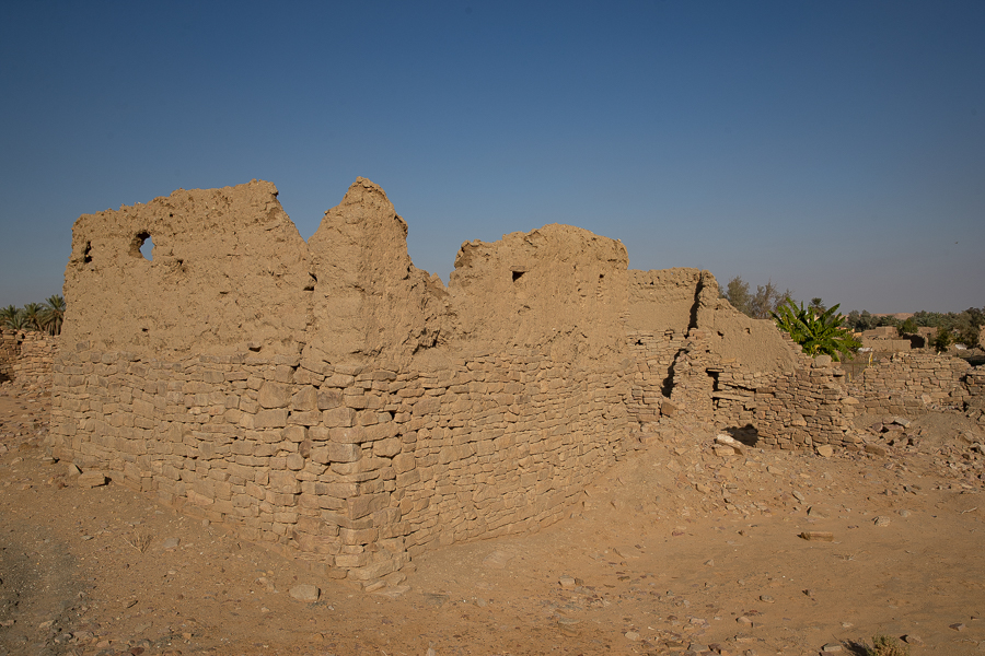 Birds of Saudi Arabia: Dumat Al-Jandal Wells - Dumat Al-Jandal