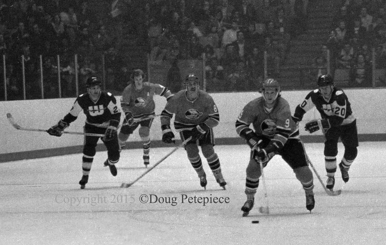 WHA Ottawa Civics, The Two Week Franchise