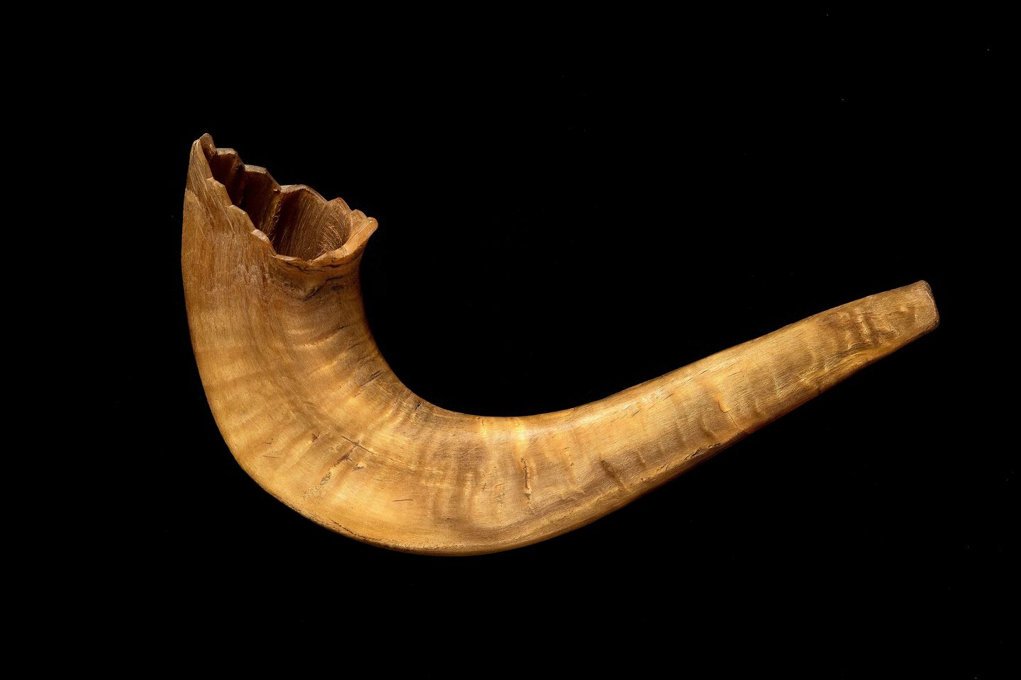 The Happiness Warrior: The Shofar from Auschwitz