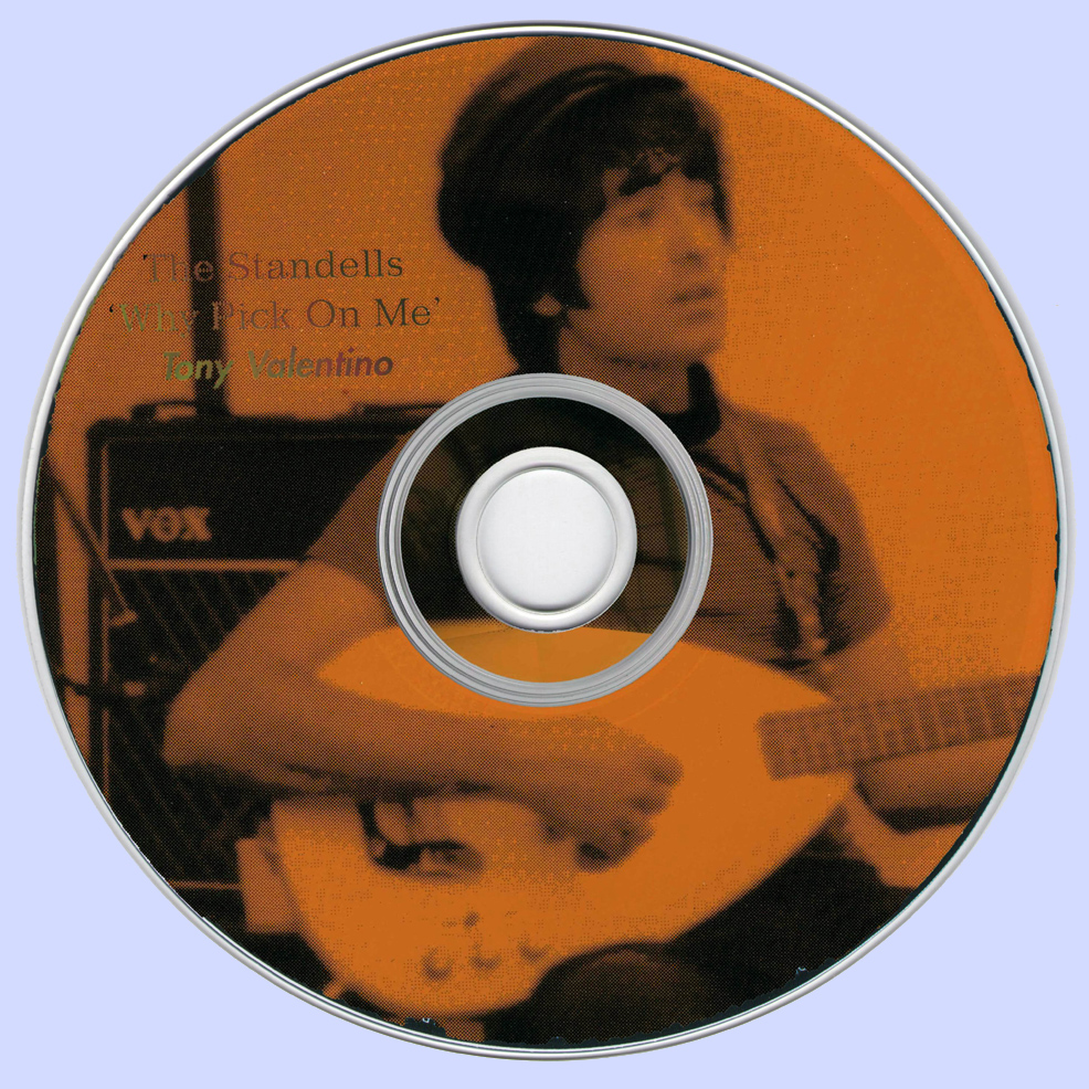 Plain and Fancy: The Standells - Why Pick On Me (1966 us, superb garage ...