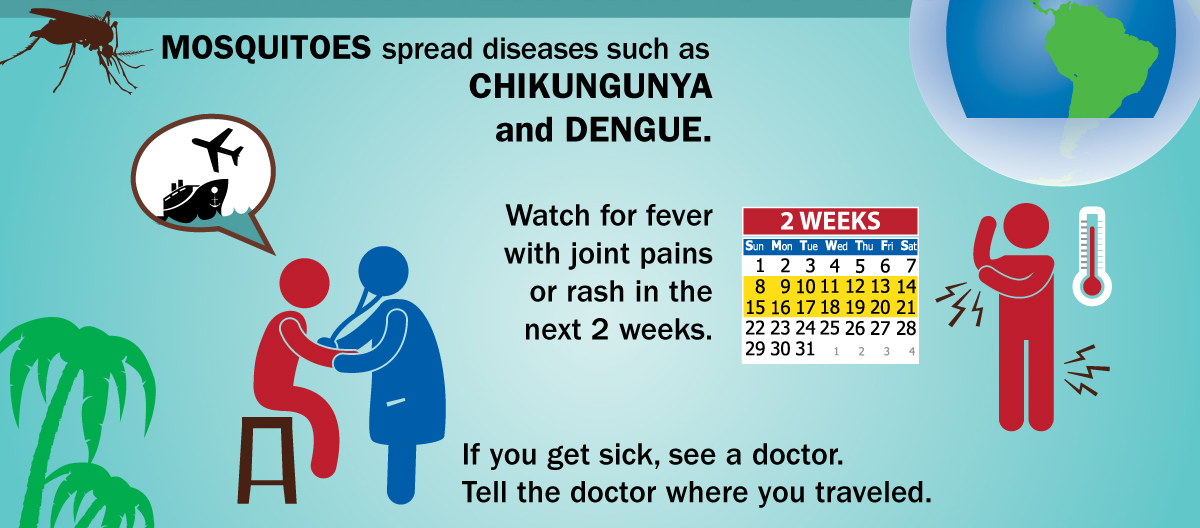 35 । Chikungunya Disease । চিকুনগুনিয়া । Paragraph-Writing