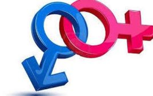 Conceptos básicos acerca del enfoque de género