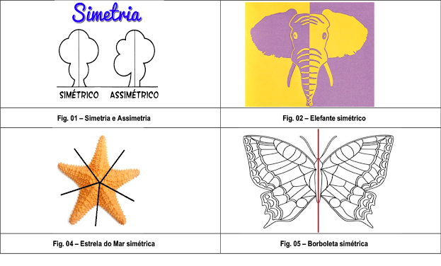 O ensino de Arte - Desafios, Reflexões e Interações: Simetria