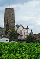 Ploaia de cuvinte: Valea Rinului - siragul de castele