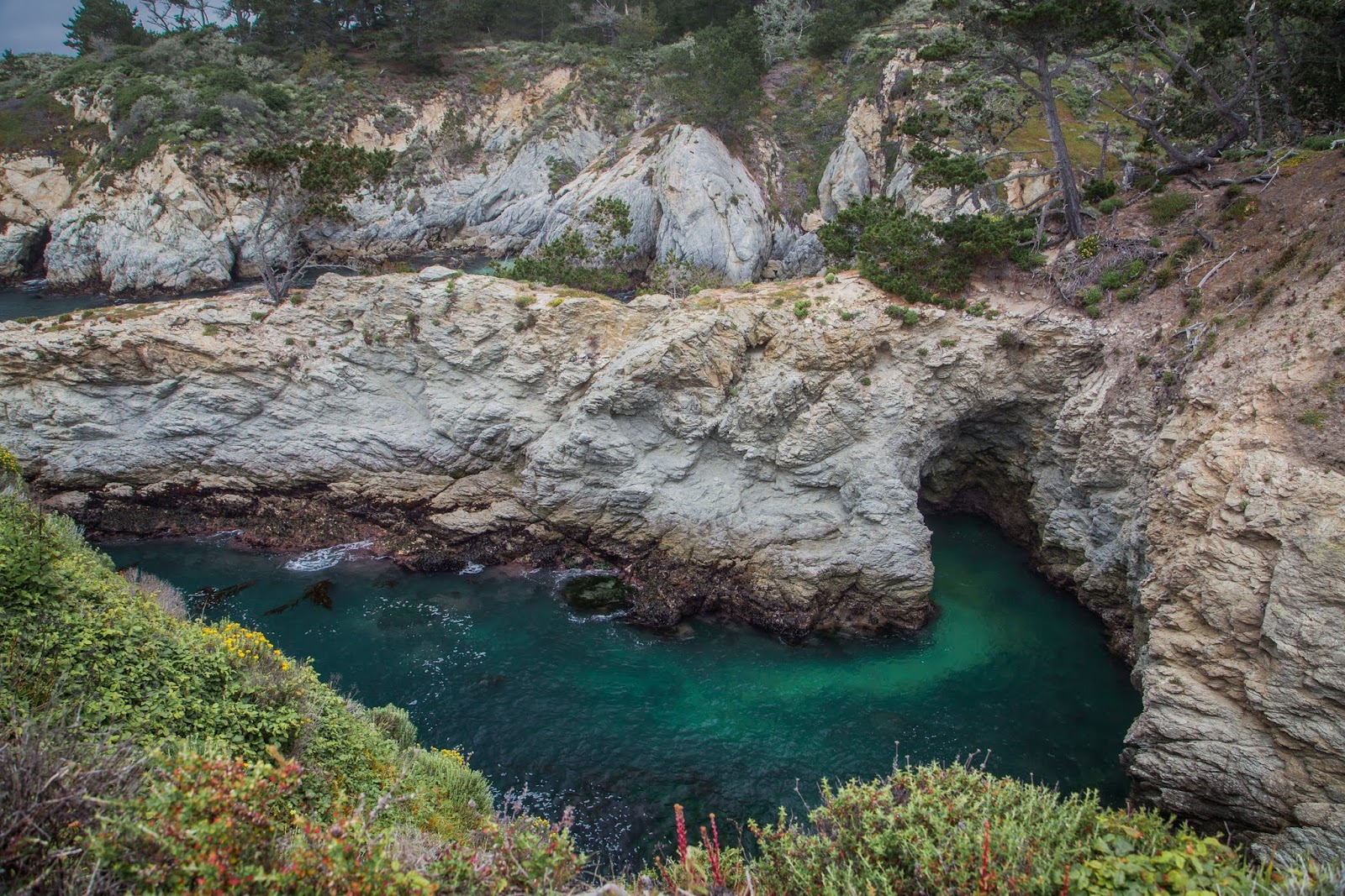Point Lobos - Crown Jewel of the California State Parks - Explore the ...