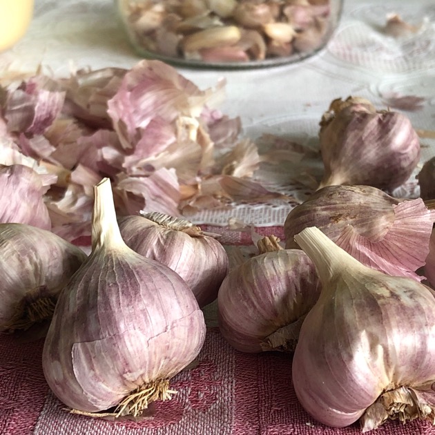 Ducks and garlic | down to earth