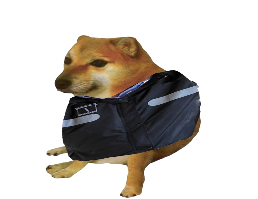 Cheems conductor transmilenio