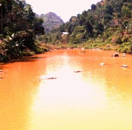 Environmental Change Done by Silt Soil