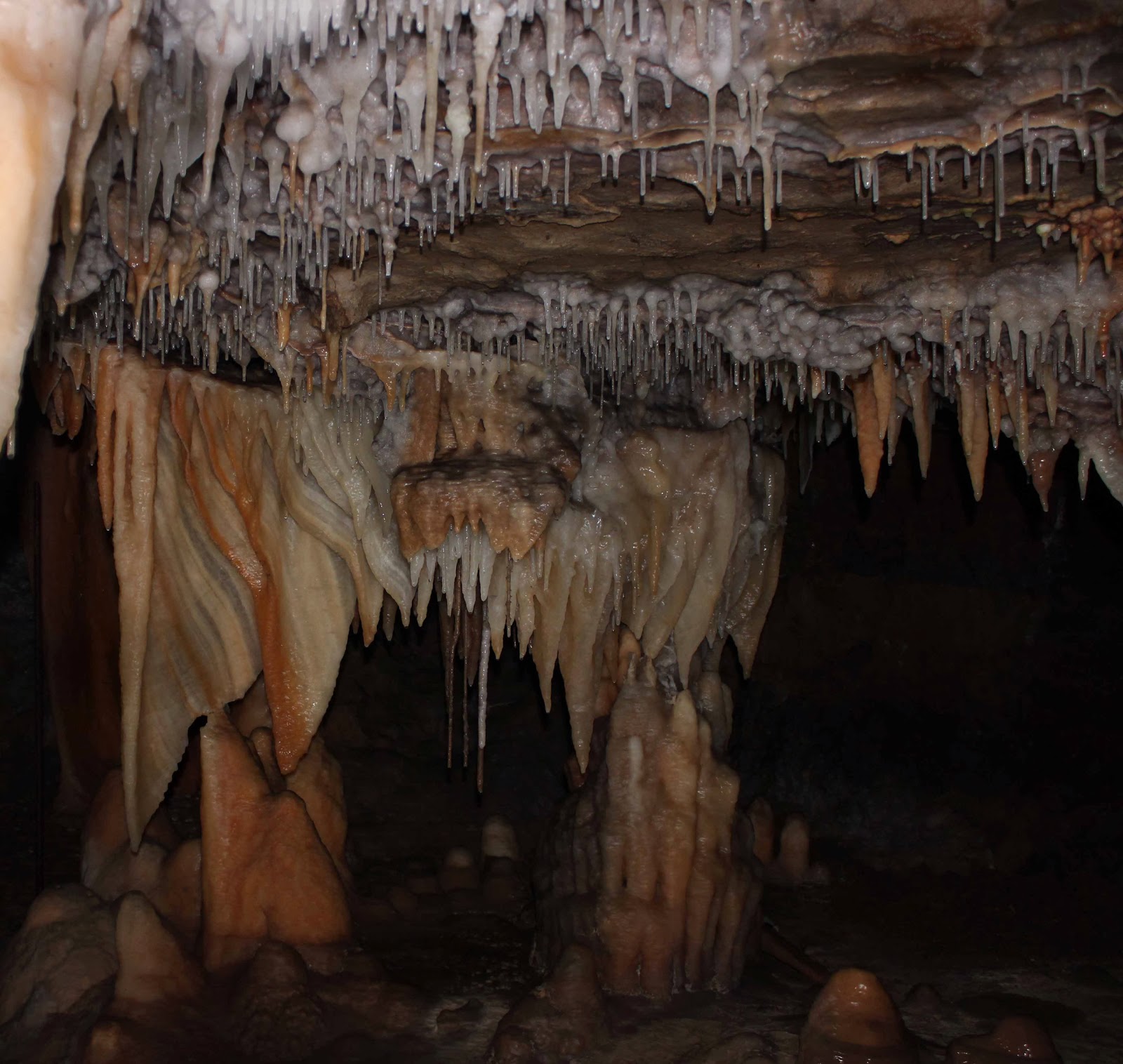 Creating and Educating: Buchan Caves