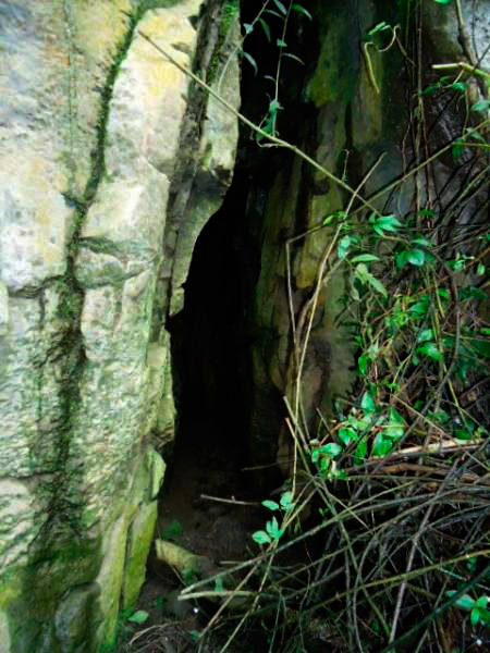 Mi pueblo creador de cultura: Mogotes, tierra diáfana y amable