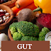 Gut Health Diet: How to Lose the Gut - 3 Steps to Lose That Gut Fast ...