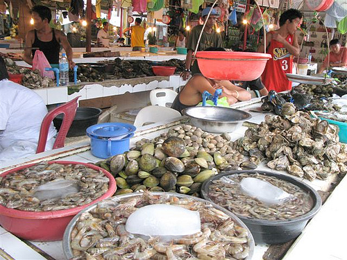 WHY I VALUE LIFE: D' TALIPAPA