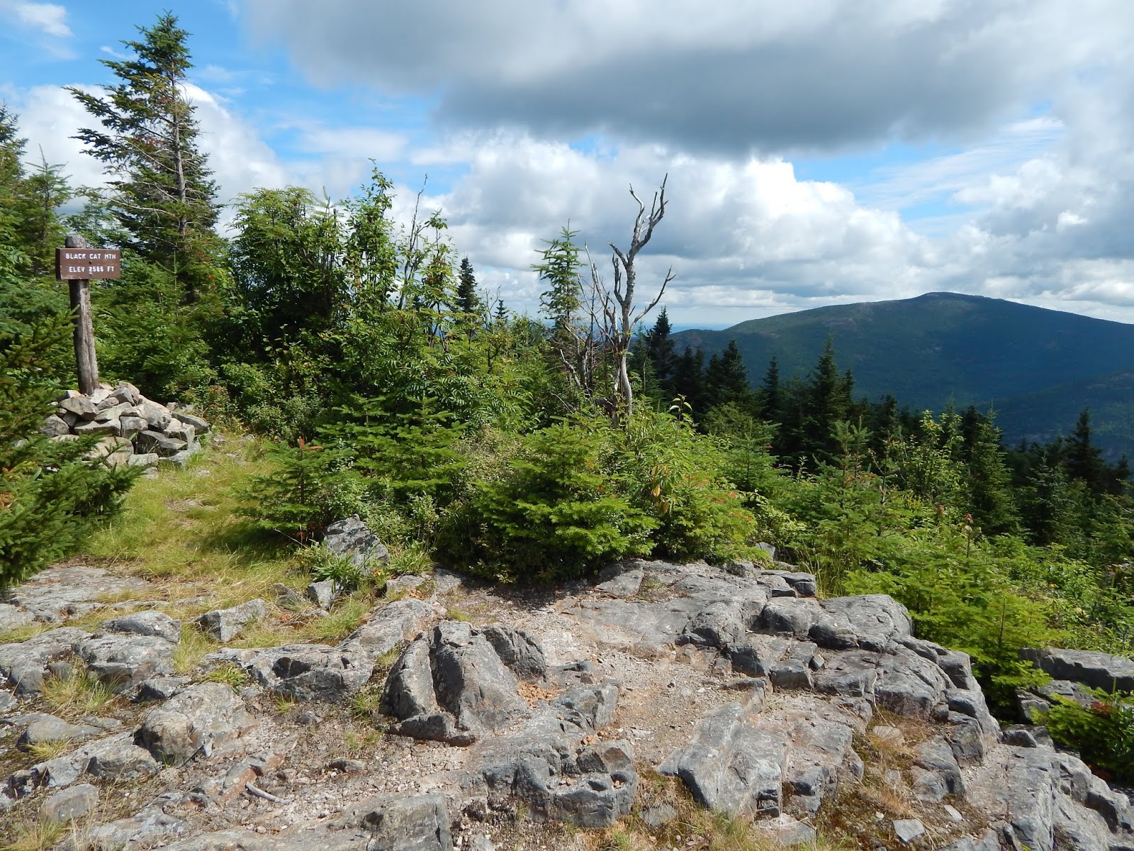 EvanHikes: An Overlooked Summit: Black Cat Mountain