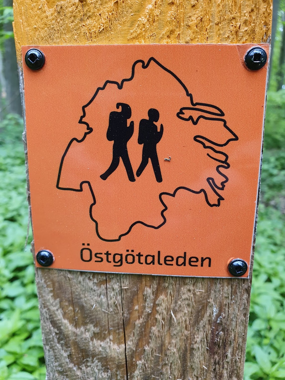 Team Vildmark: Vandring Omberg runt