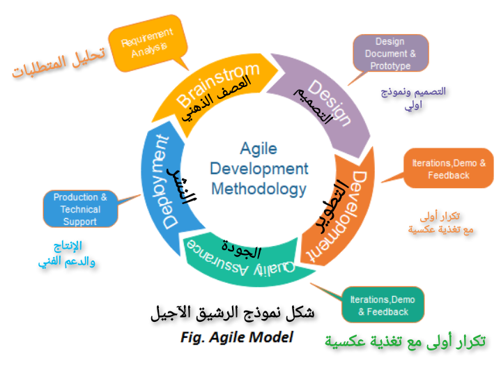 Arabic Knowledge blog مدونة المعرفة العربية : نموذج منهجية الآجيل او الرشيق دورة حياة تطوير ...