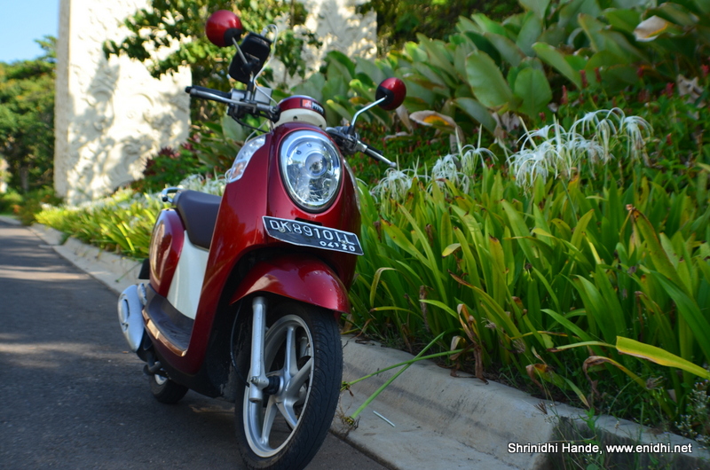 Honda Scoopy in Bali-photoshoot! - eNidhi India Travel Blog