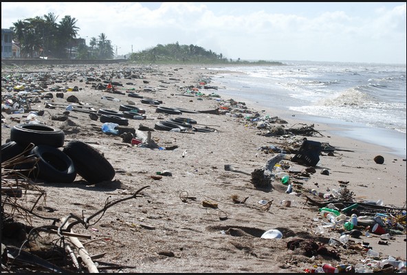 Natural calamity ~ History Of Bangladesh