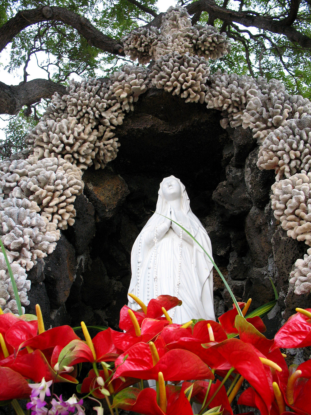 Rose Petals from Heaven: The Coral Grotto