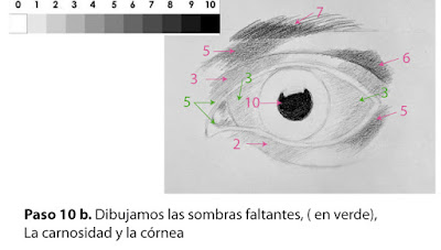 El Taller De Miguel Angel: Como dibujar el ojo facilmente y paso a paso