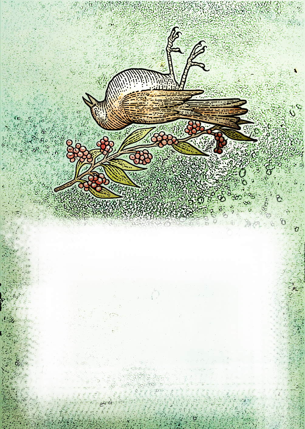 Spencer Noel McIntosh Designs and Illustrations