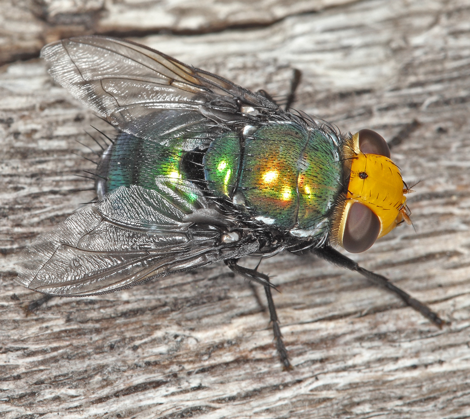 BunyipCo: February 2012