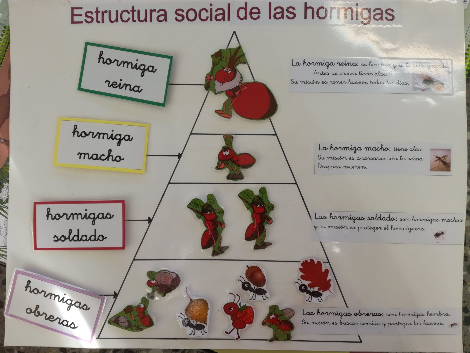 La clase de Rocky: JUEGOS DE HORMIGAS