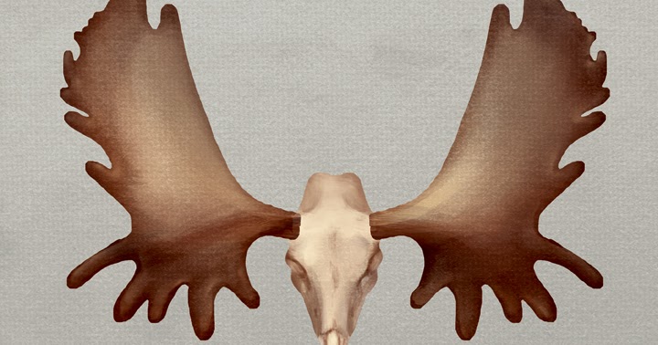 Libby Lamb Wagner: moose skull