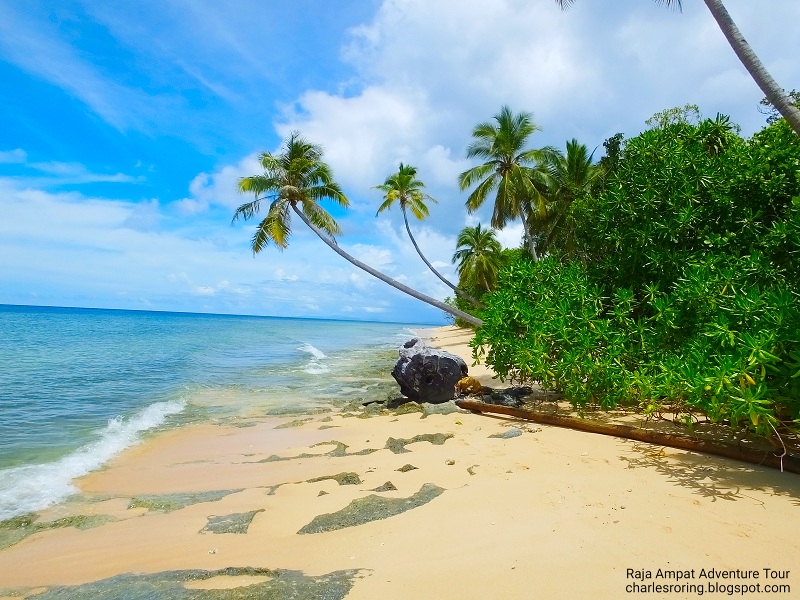 Birding Tour in West Papua: Traveling to Raja Ampat Islands
