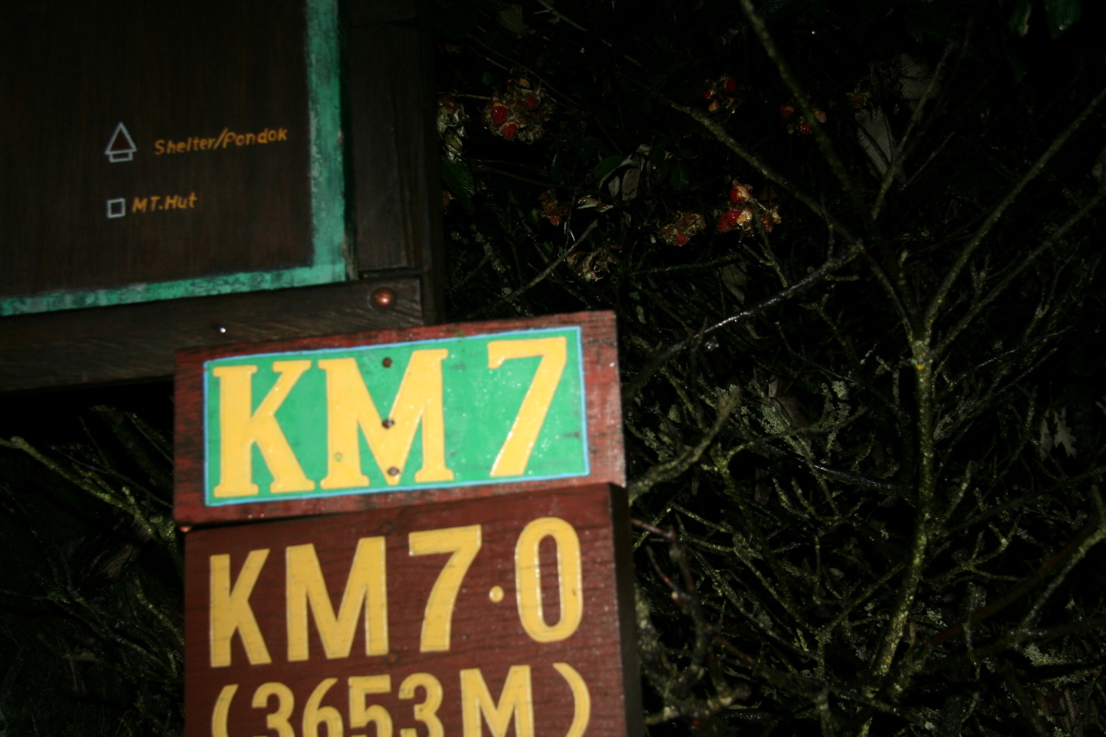 Climbing Mt Kinabalu: Laban Rata to Sayat Sayat 6km to 7km