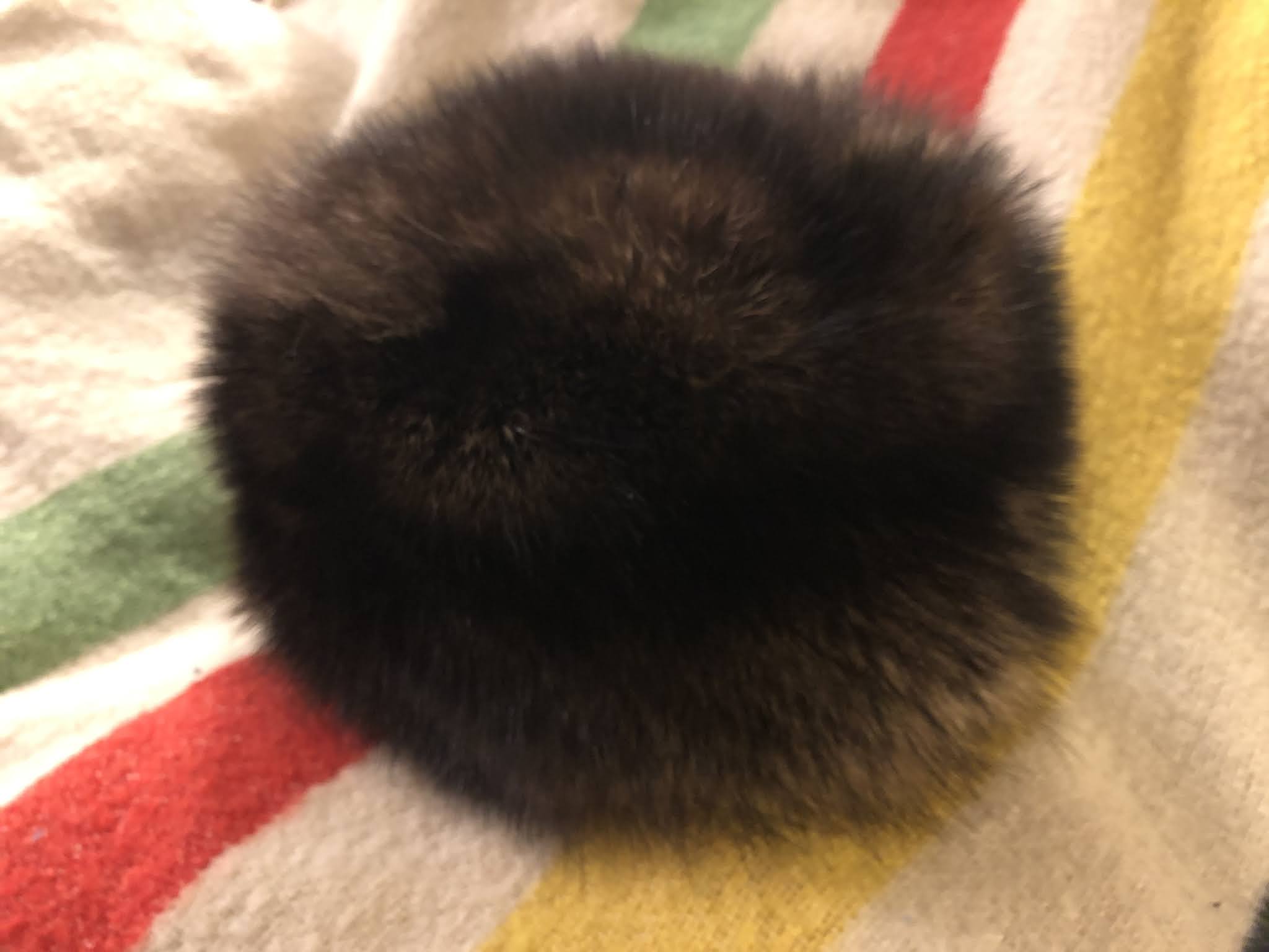 LeatherworkMeritBadge: Coonskin caps!