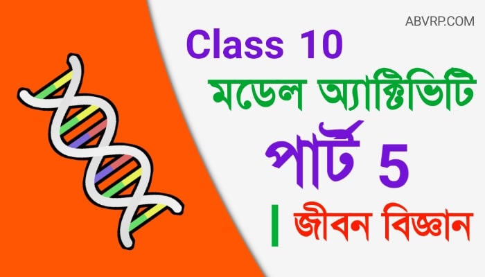 Class 10 Life science Model activity task part 5 new 2021 | দশম শ্রেণী জীবন বিজ্ঞান মডেল ...