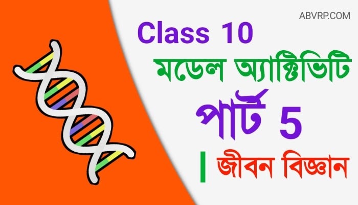 Class 10 Life science Model activity task part 5 new 2021 | দশম শ্রেণী জীবন বিজ্ঞান মডেল ...