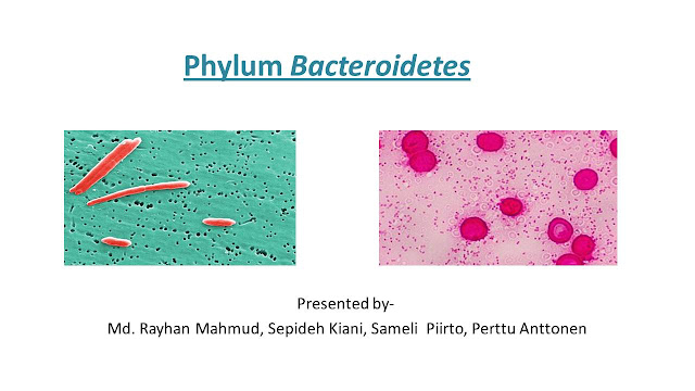 Phylum Bacteroidetes - Microbes World