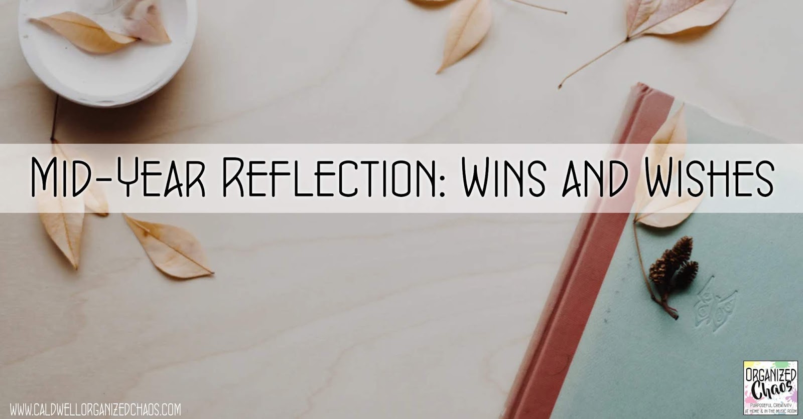 Mid-Year Reflection: Wins and Wishes | Organized Chaos