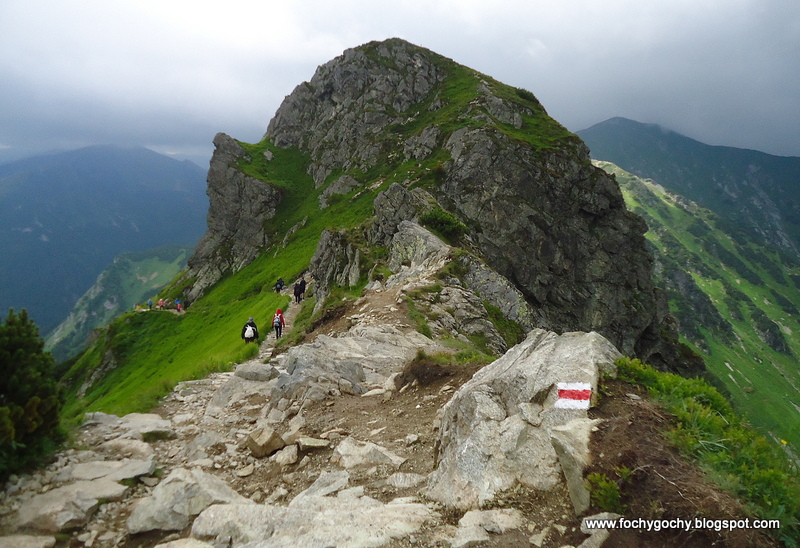 Kulinarne fochy Gochy