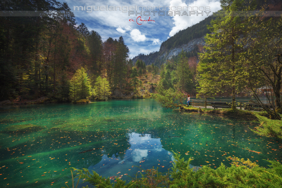 Que ver en Suiza (Día 5): Visitar el Lago Blausee y Conclusiones.