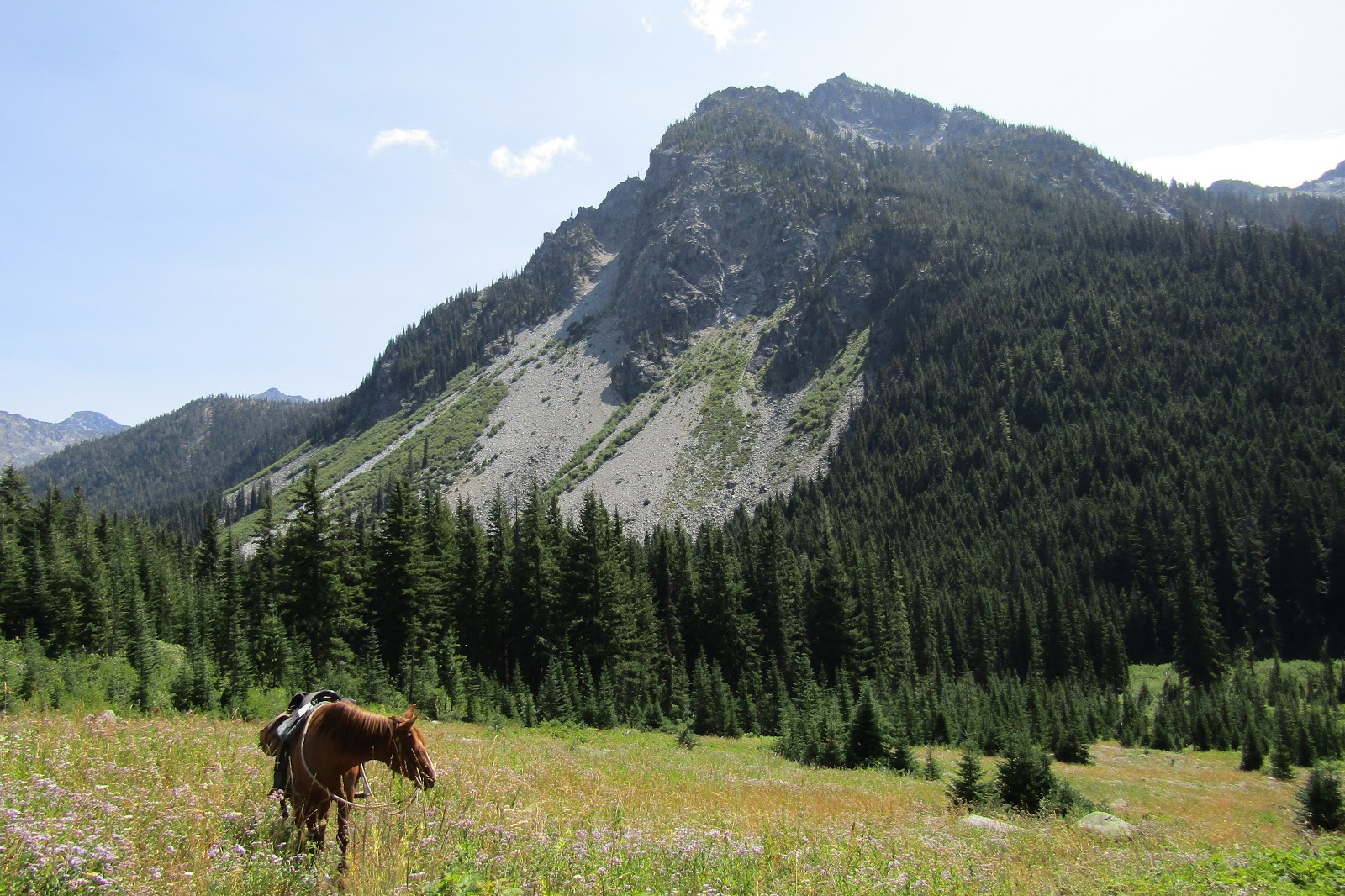 Holly's Horse Tales and Trails: Black Pine and Conrad Meadows Horse ...