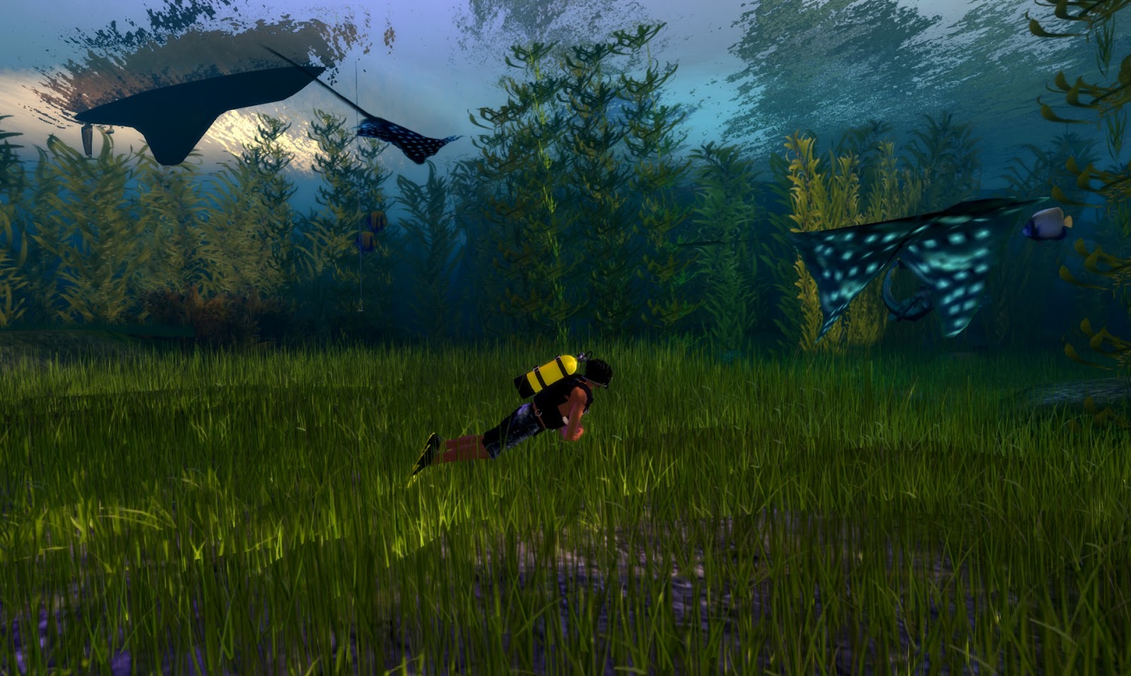 Echt Virtuell: Tauchen in Second Life