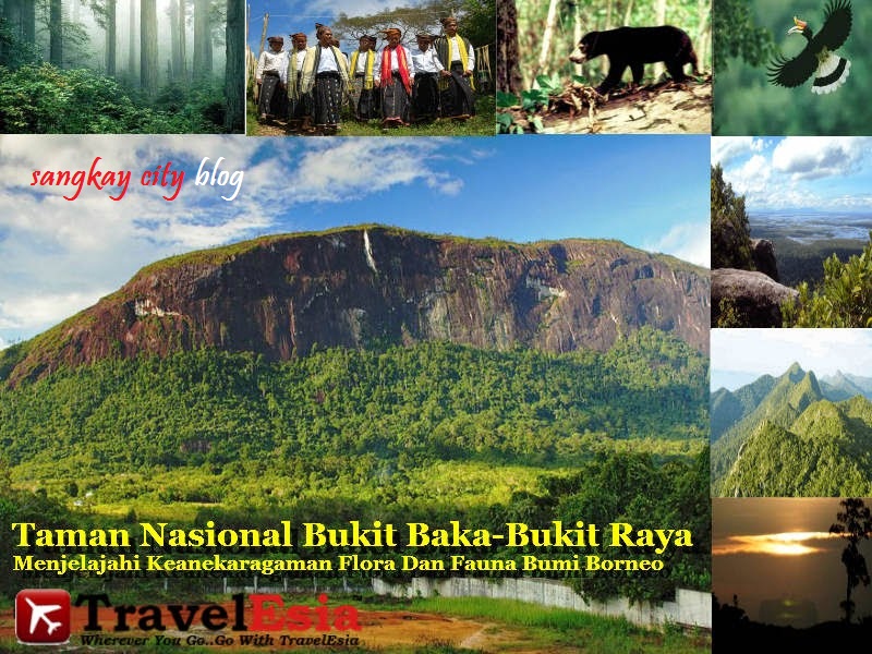 Taman Nasional Bukit Baka Bukit Raya (TNBBBR) | Sangkay City